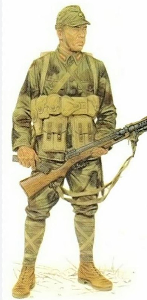 Please add these camo options for the Japanese - Suggestions - Enlisted