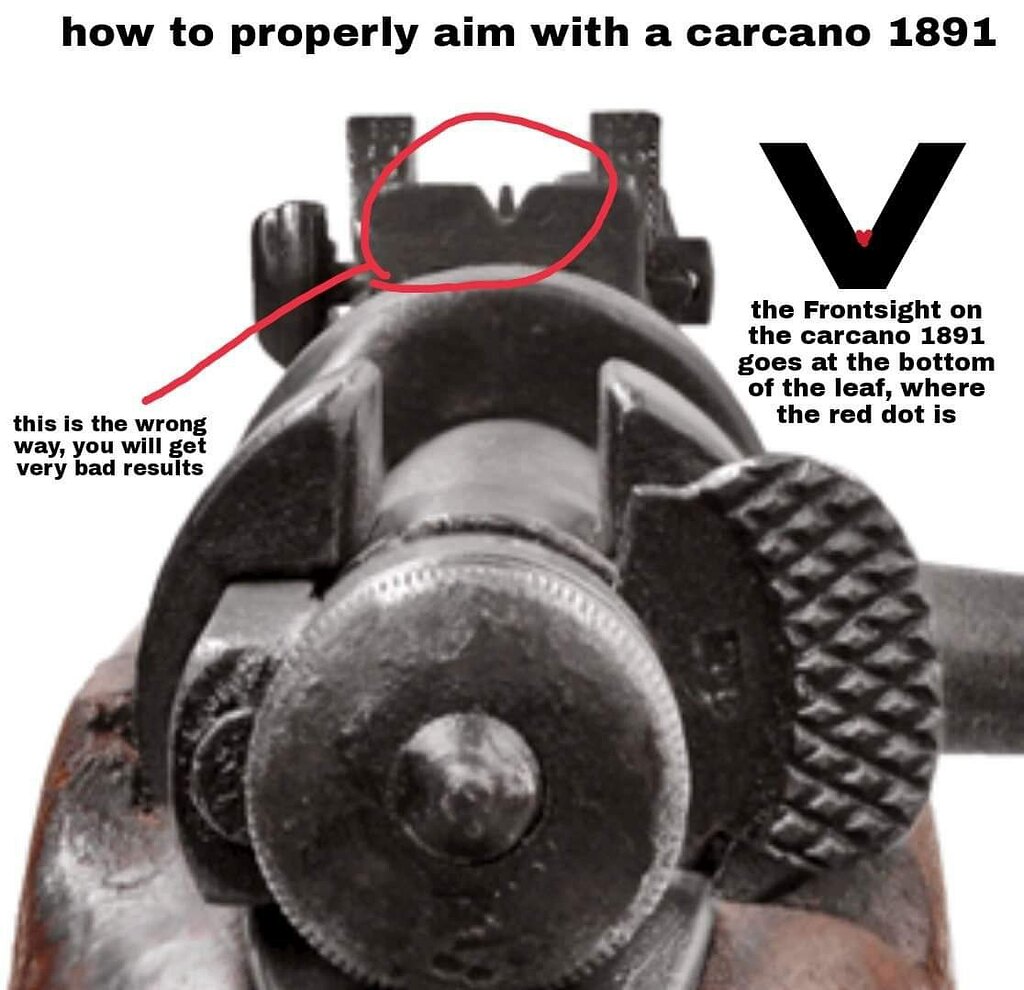 Carcano aim is wrong? - Suggestions - Enlisted