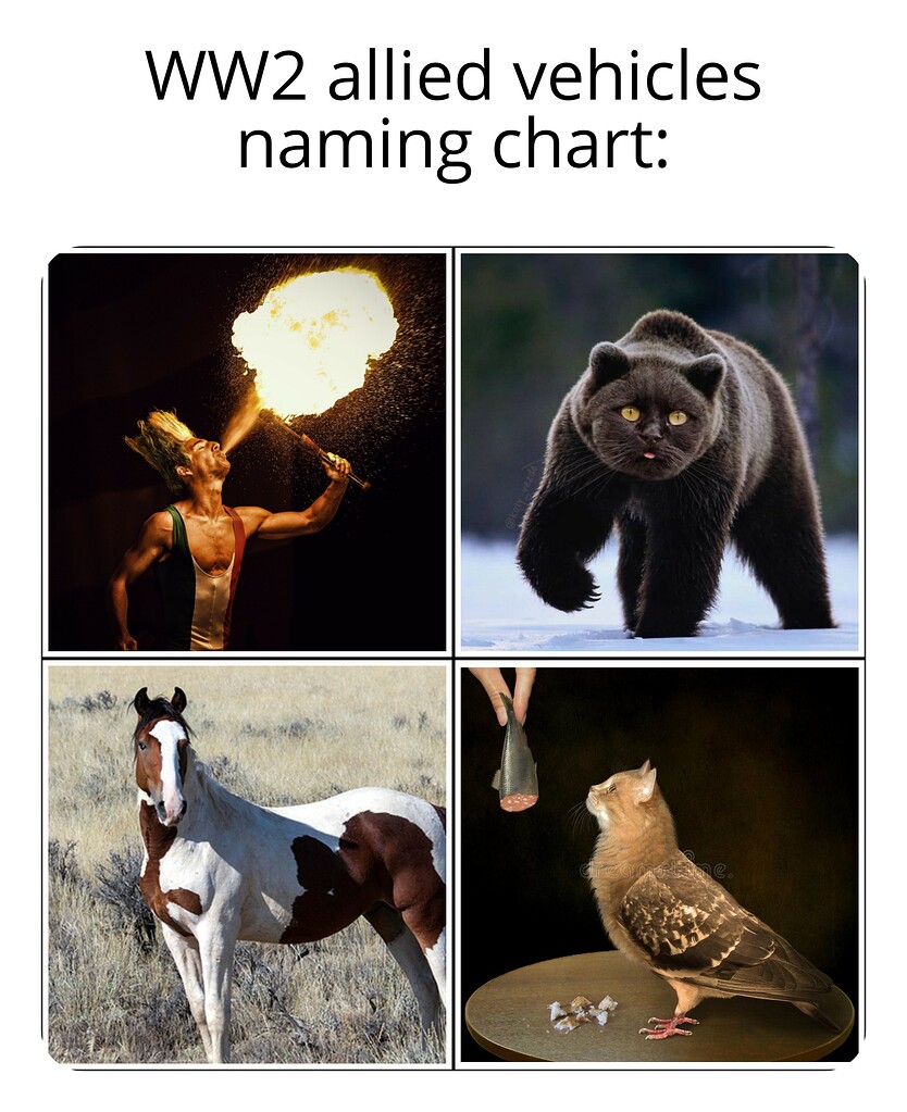 A meme - Mess Room - Enlisted — official forum