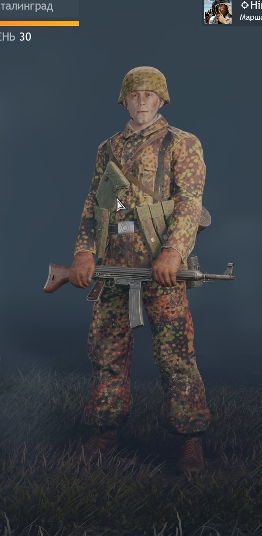 Can someone show me a screenshot of the appearance of "Werner Hopfel ...